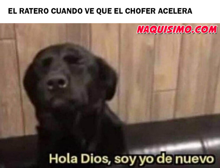Los mejores memes del ratero de la combi. - Naquisimo