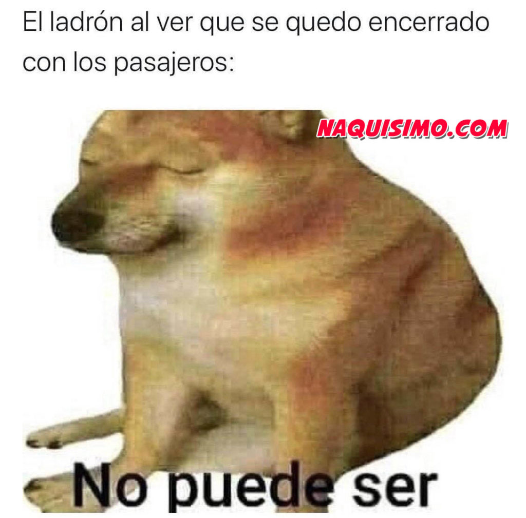 Los mejores memes del ratero de la combi. - Naquisimo