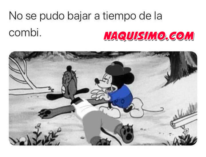 Los mejores memes del ratero de la combi. - Naquisimo