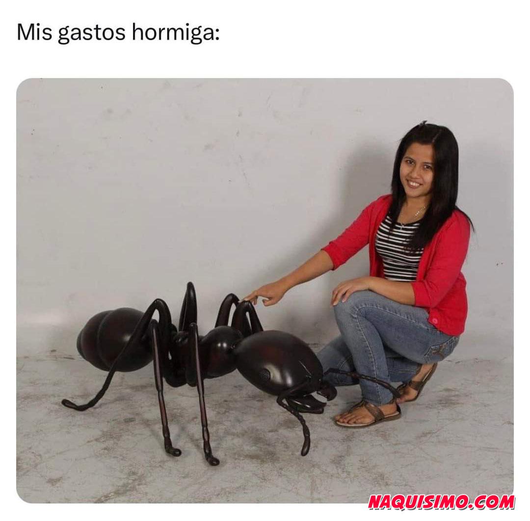 Meme Gastos Hormiga - Naquisimo