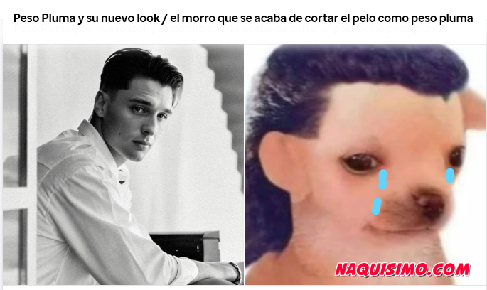 Memes de Peso Pluma - Naquisimo